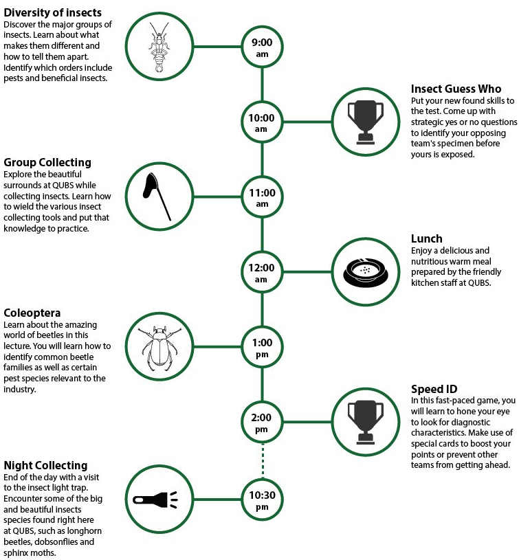 Field Entomology Workshop for Arborists | Field Entomology